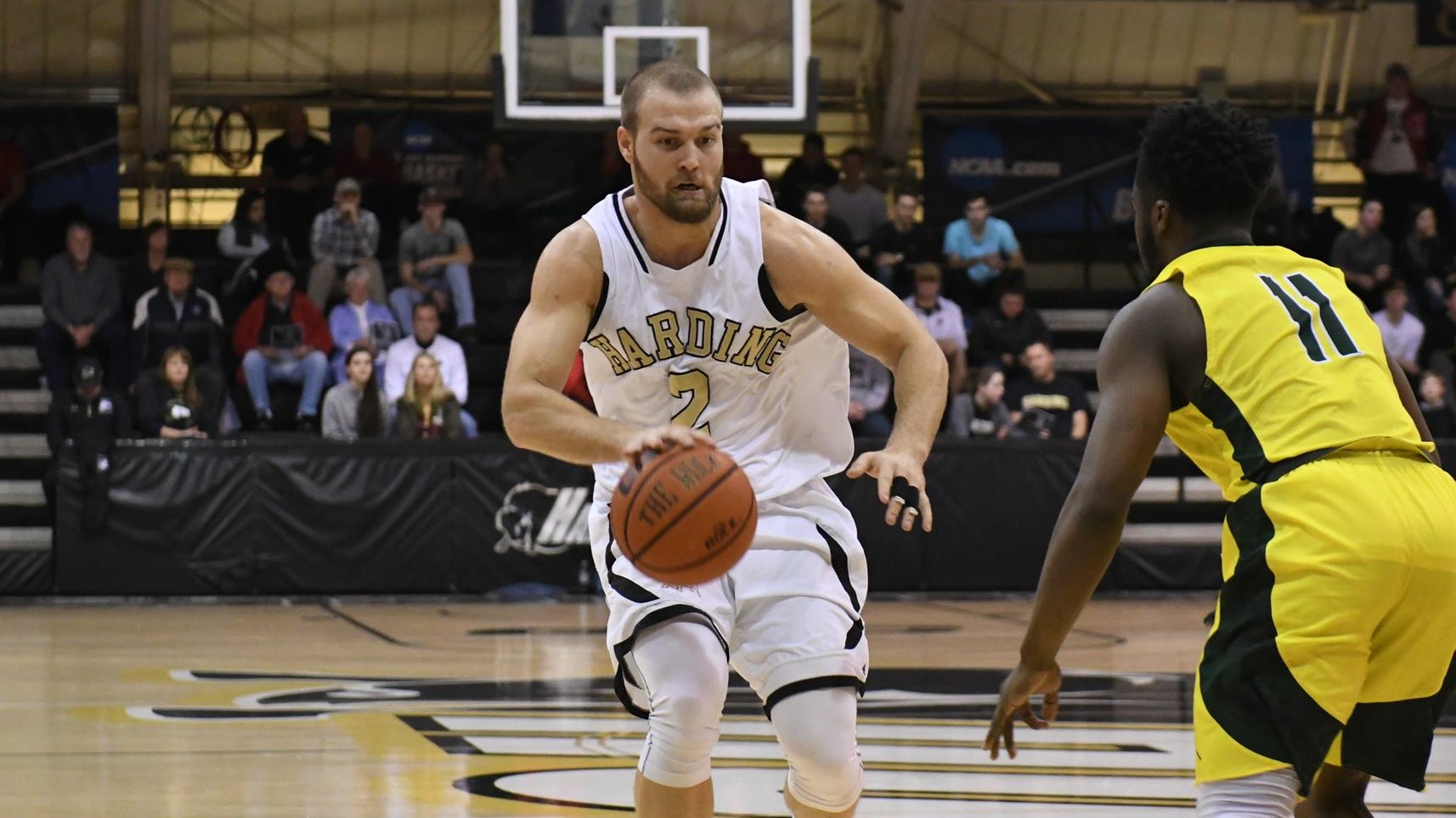 Filip Medjo - Men's Basketball - Harding University Athletics