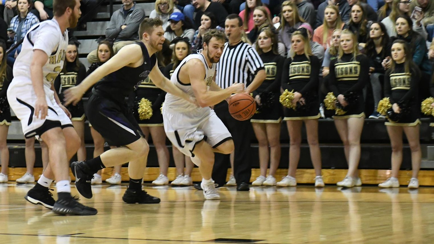 Tim Wagner - Men's Basketball - Harding University Athletics