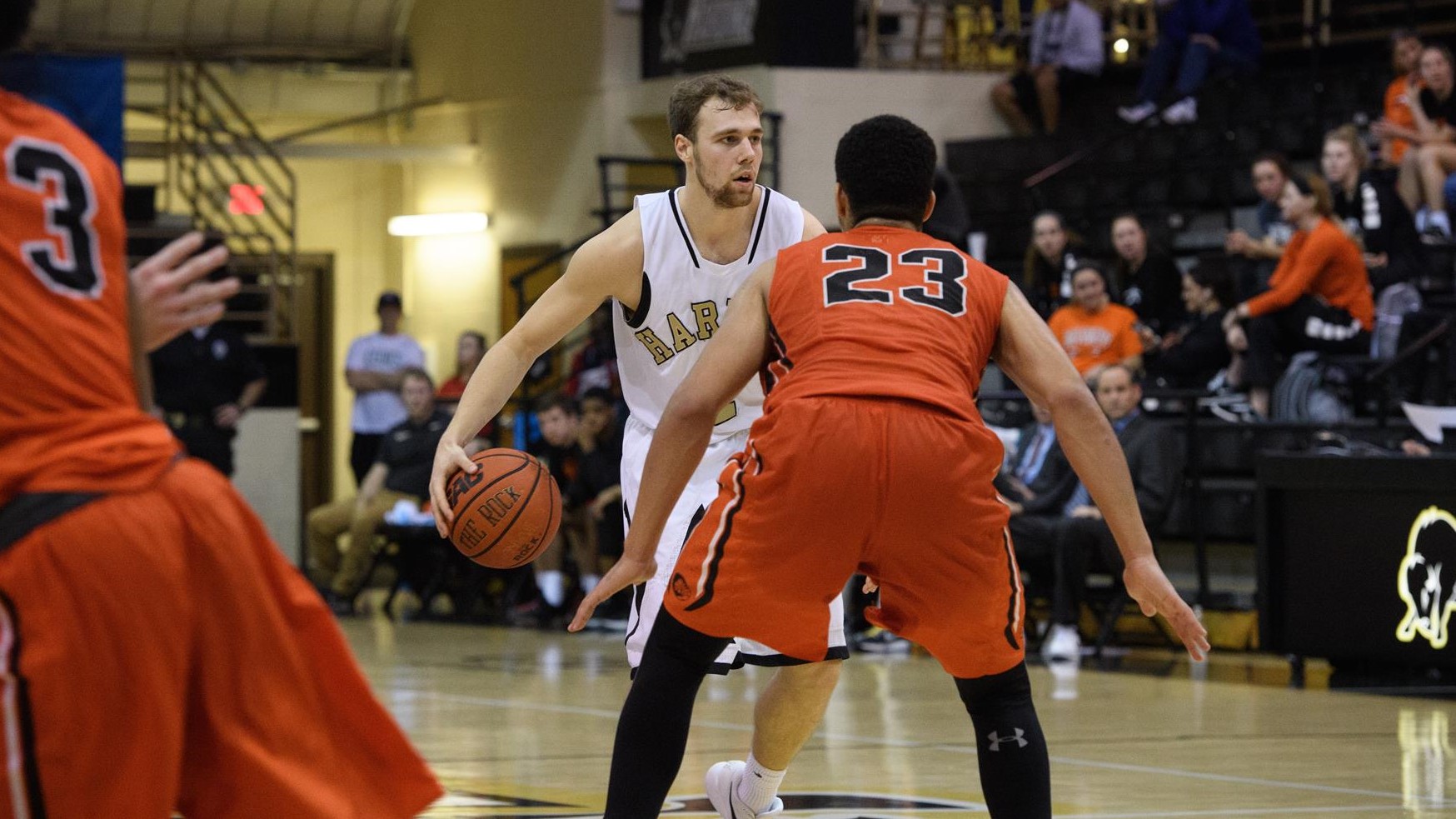 Tim Wagner - Men's Basketball - Harding University Athletics