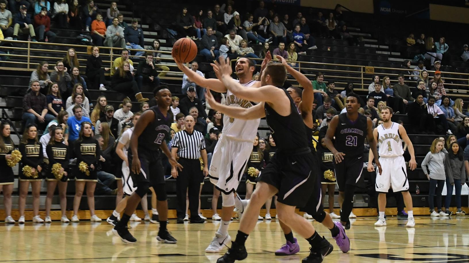 Tim Wagner - Men's Basketball - Harding University Athletics