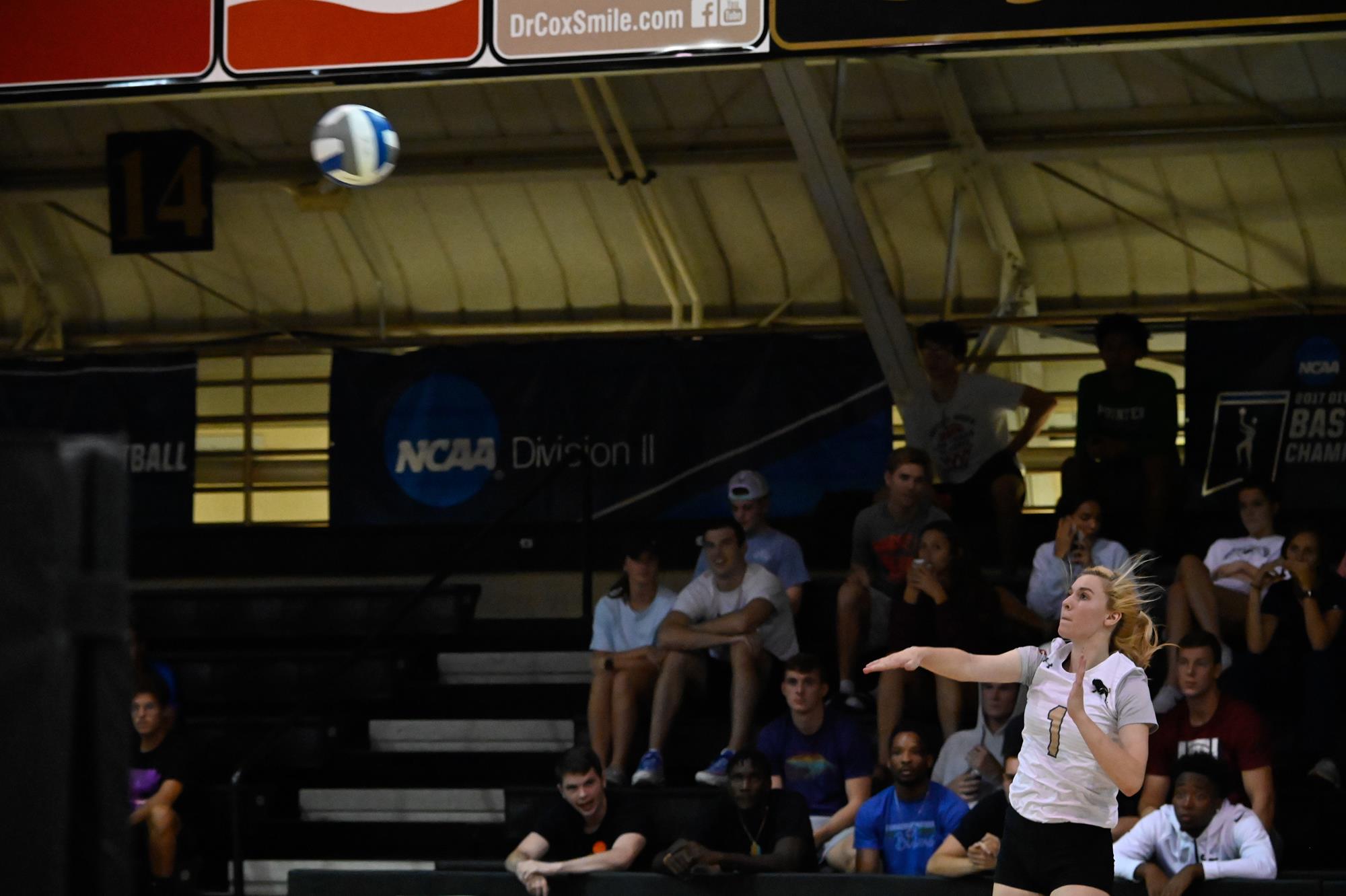Amber Robin - Volleyball - Harding University Athletics