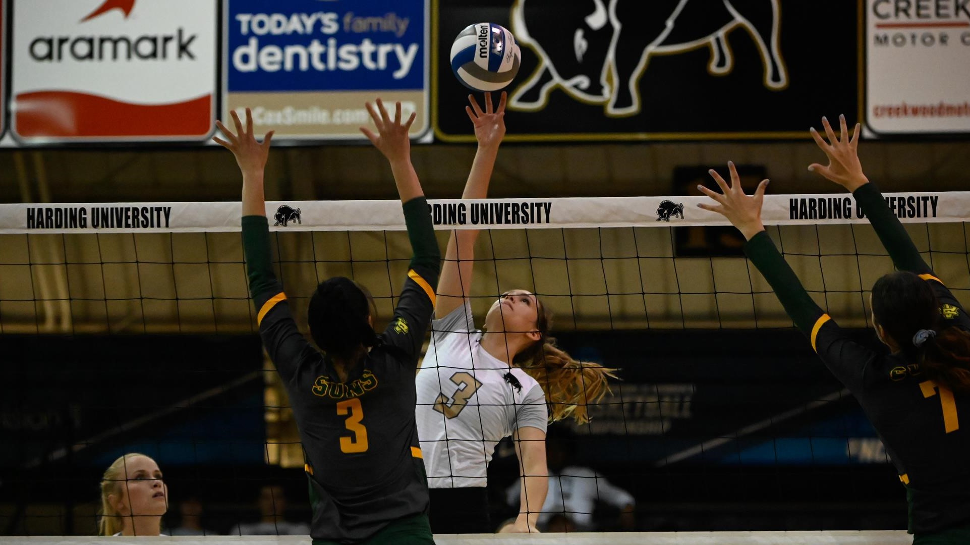 Emily Smith - Volleyball - Harding University Athletics