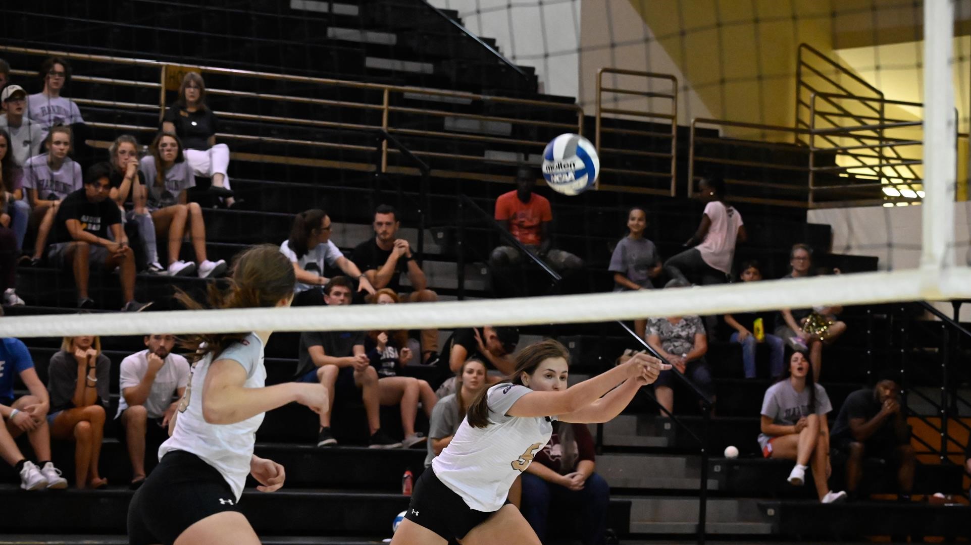 Sarah Morehead - Volleyball - Harding University Athletics