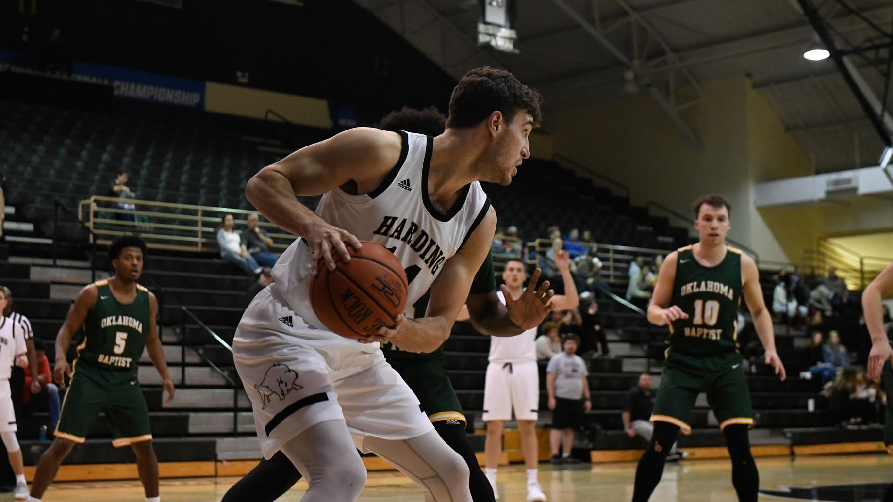 Gojko Djokovic - Men's Basketball - Harding University Athletics
