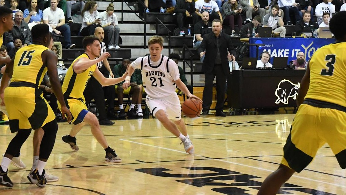 Colin Hale - Men's Basketball - Harding University Athletics