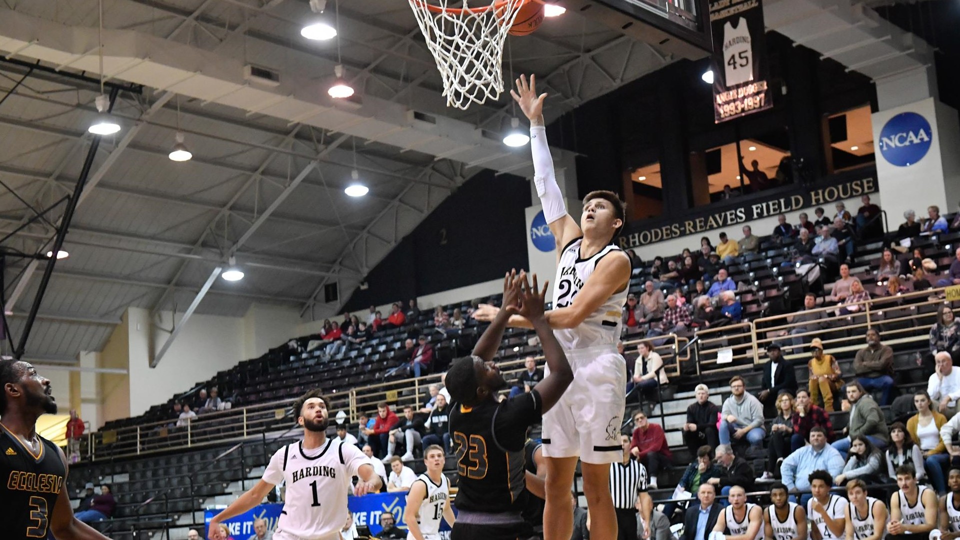 Brandon Reeves - Men's Basketball - Harding University Athletics