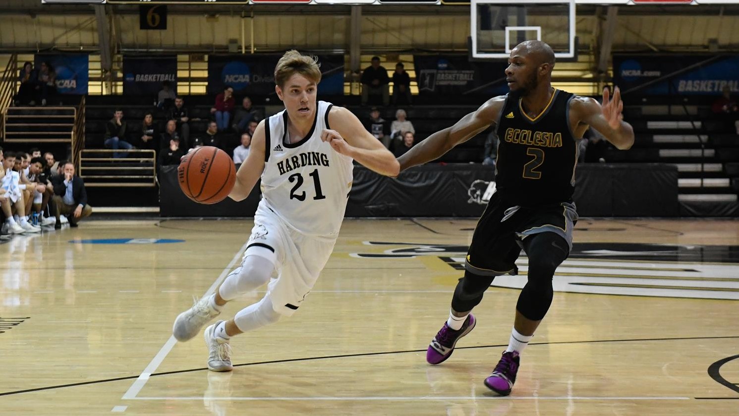 Colin Hale - Men's Basketball - Harding University Athletics