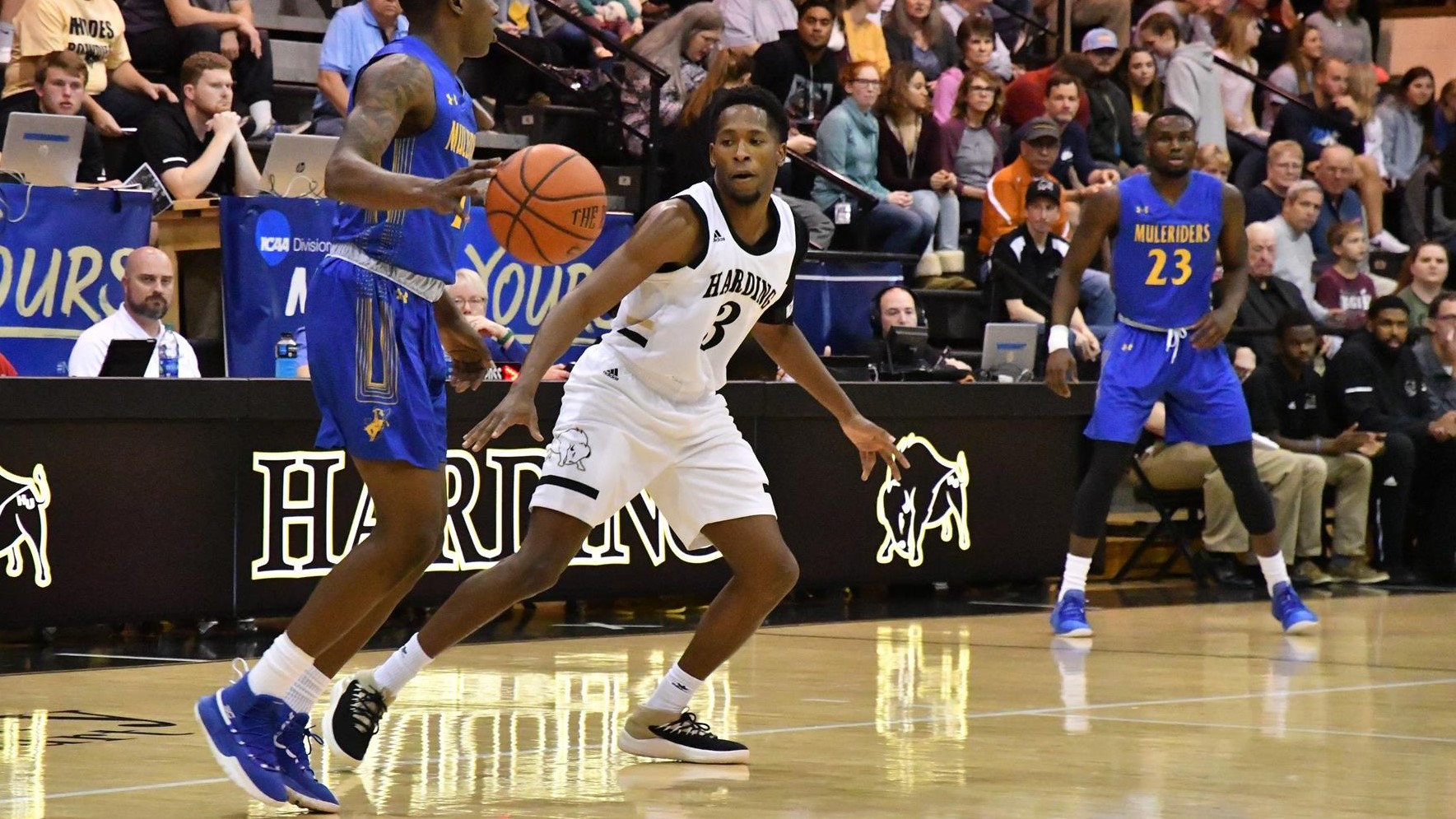 Reggie Anthony - Men's Basketball - Harding University Athletics