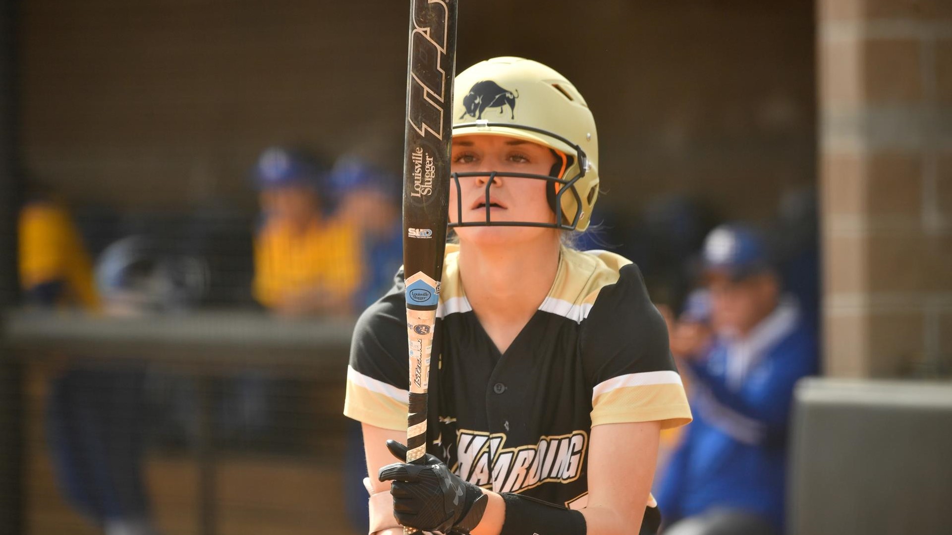 Kyndal Pirtle - Softball - Harding University Athletics