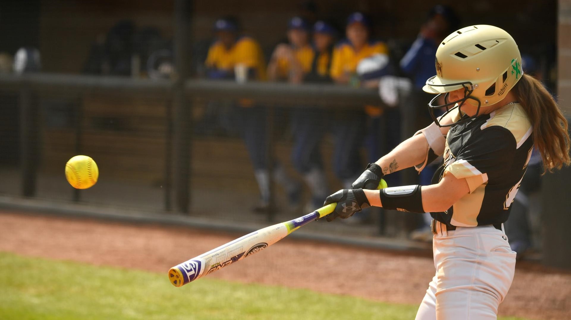 Lauren Bazan - Softball - Harding University Athletics