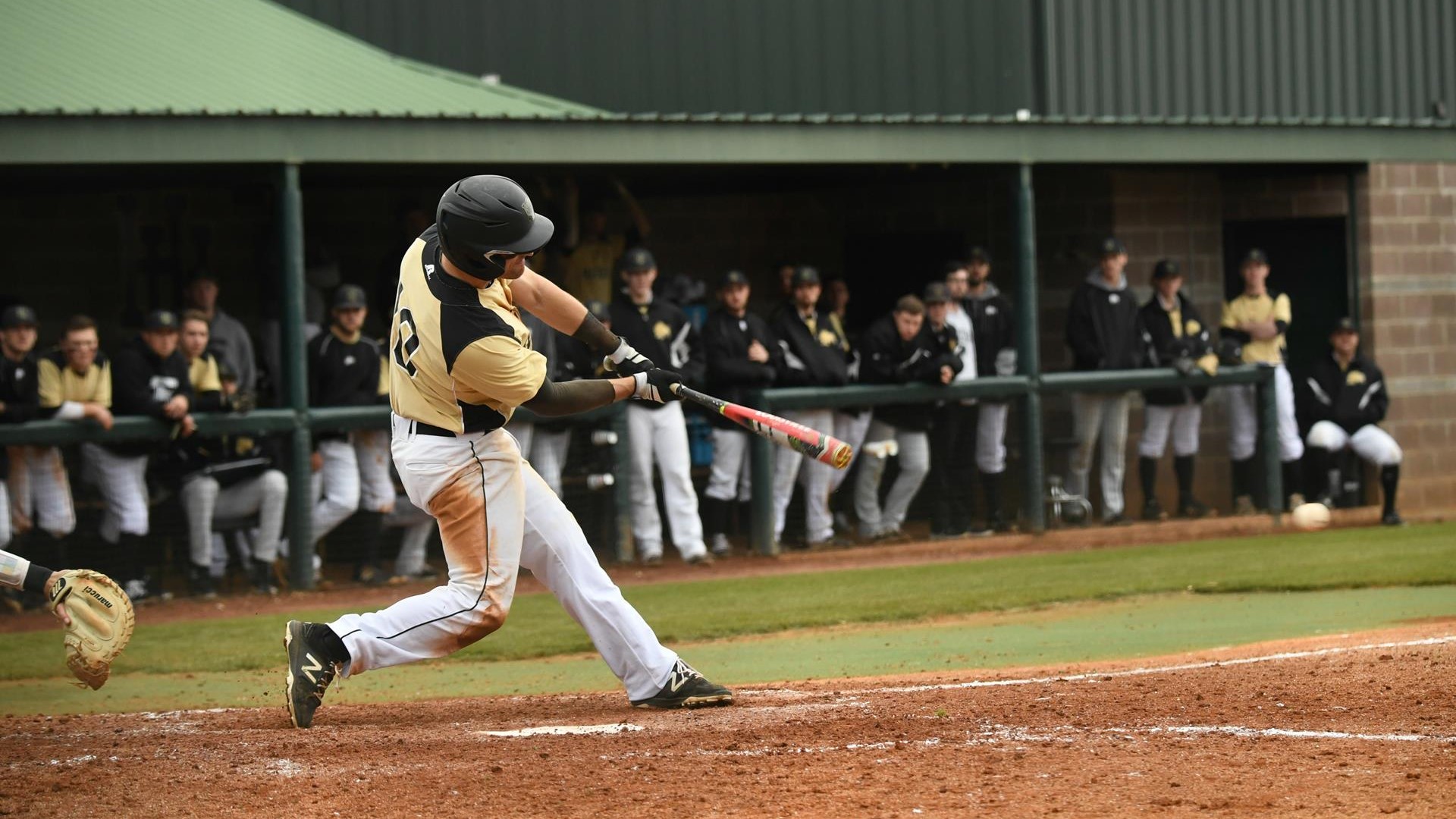 Jack Thomas - Baseball - Harding University Athletics