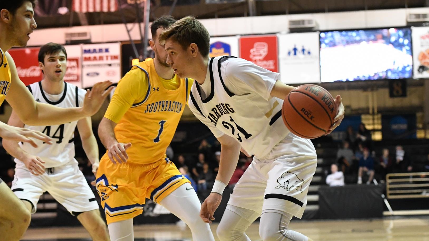 Colin Hale - Men's Basketball - Harding University Athletics