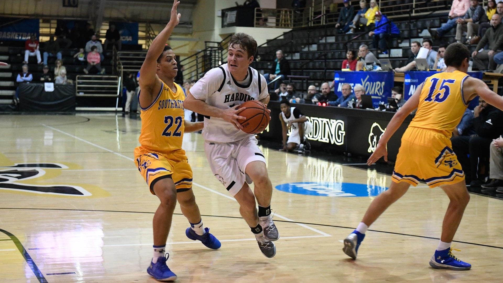 Tyler Roth - Men's Basketball - Harding University Athletics