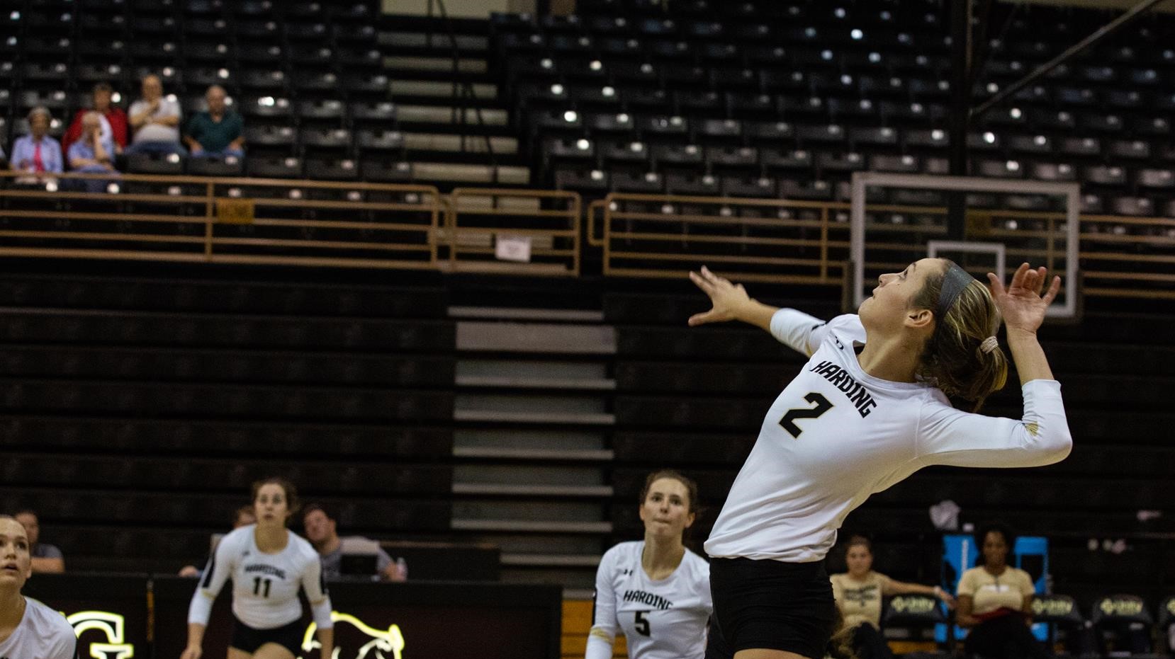 Ally Stoner - Volleyball - Harding University Athletics