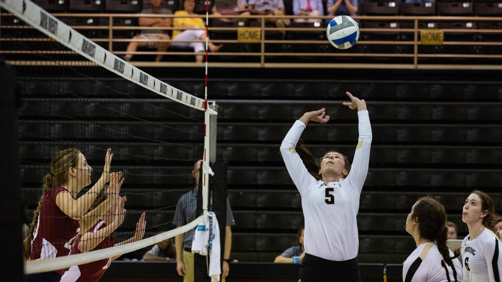 Sarah Morehead - Volleyball - Harding University Athletics