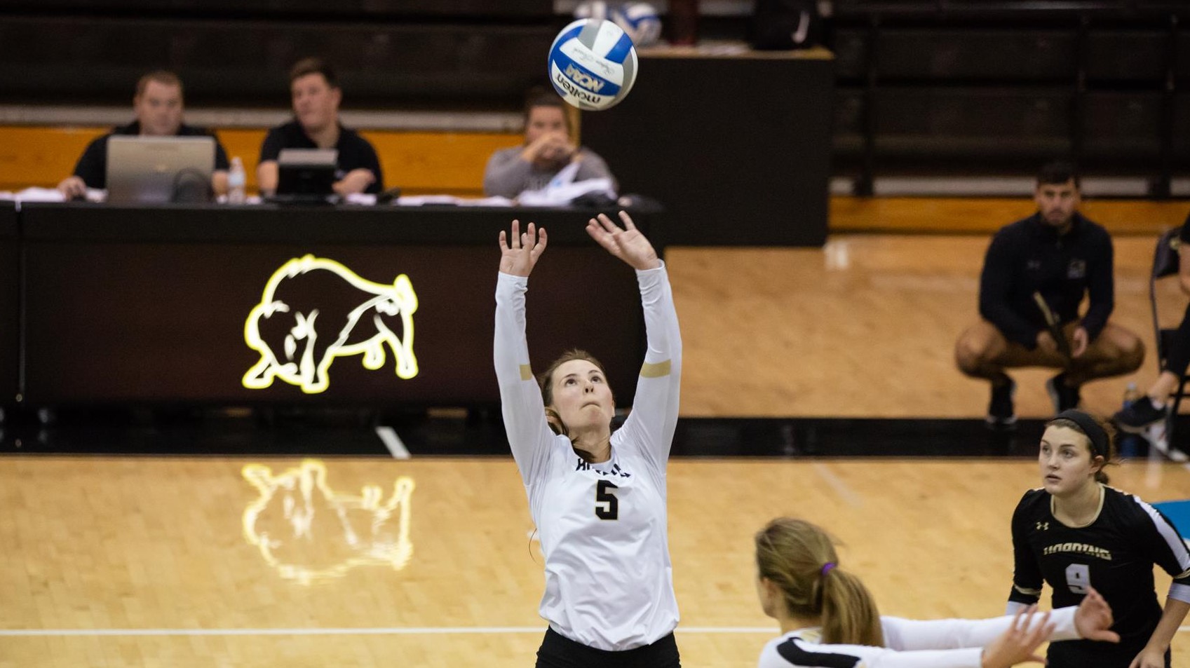 Sarah Morehead - Volleyball - Harding University Athletics