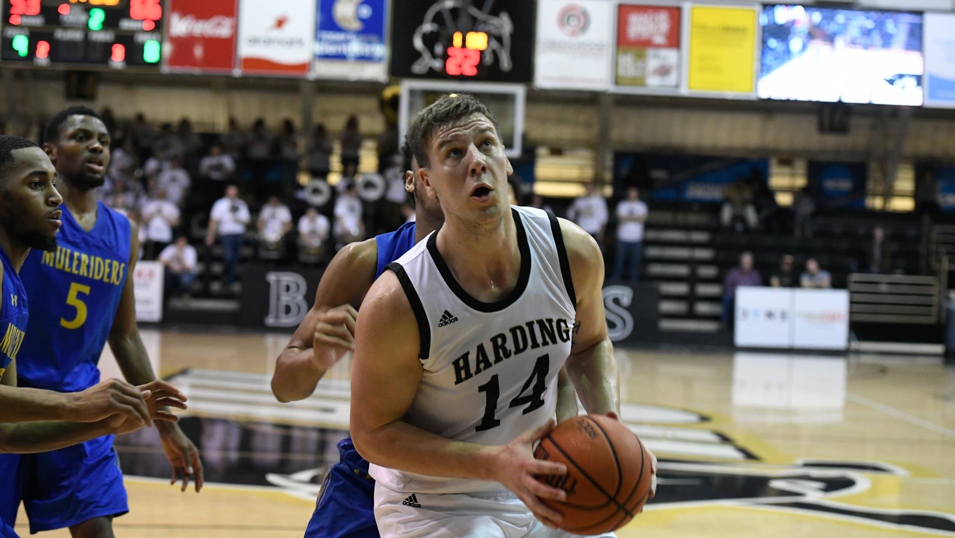 Emir Ahmedic - Men's Basketball - Harding University Athletics