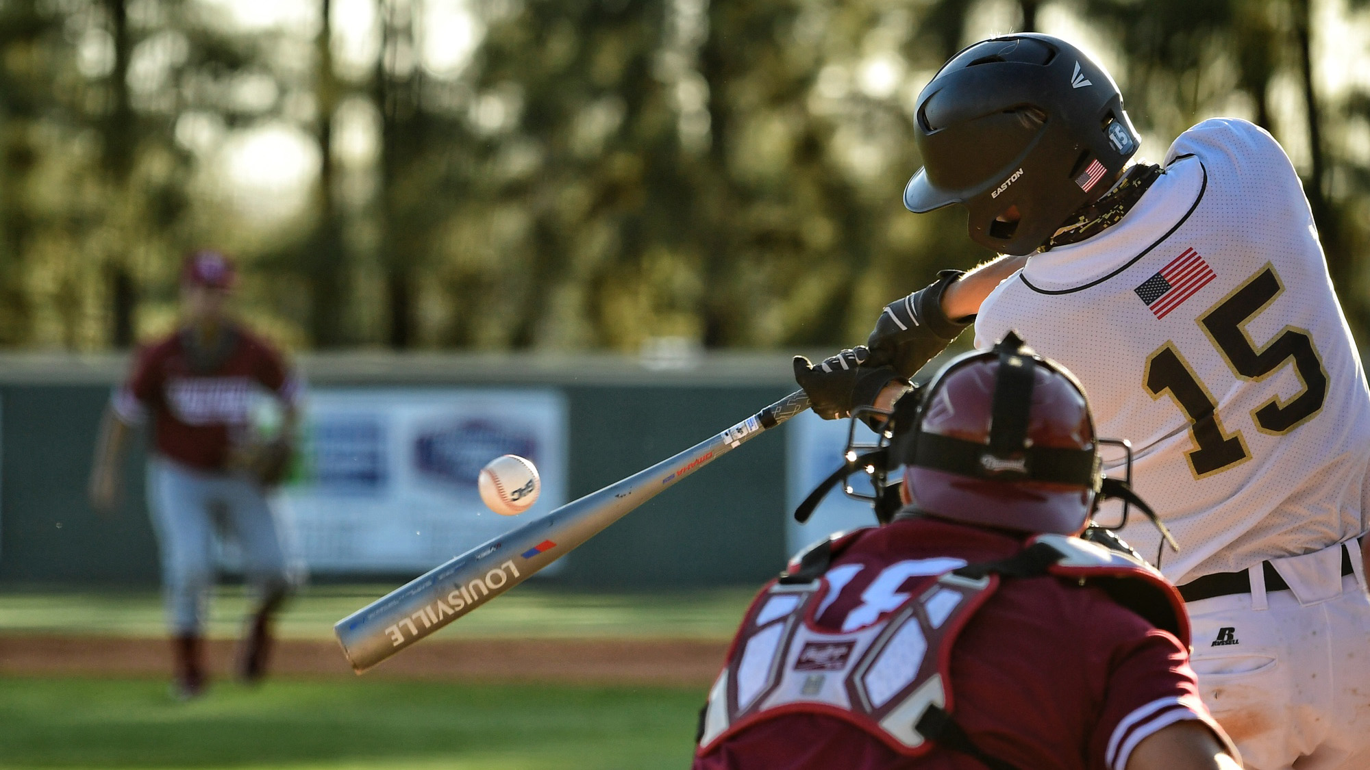 Weevils Sweep Bisons in Baseball Doubleheader - Harding University ...