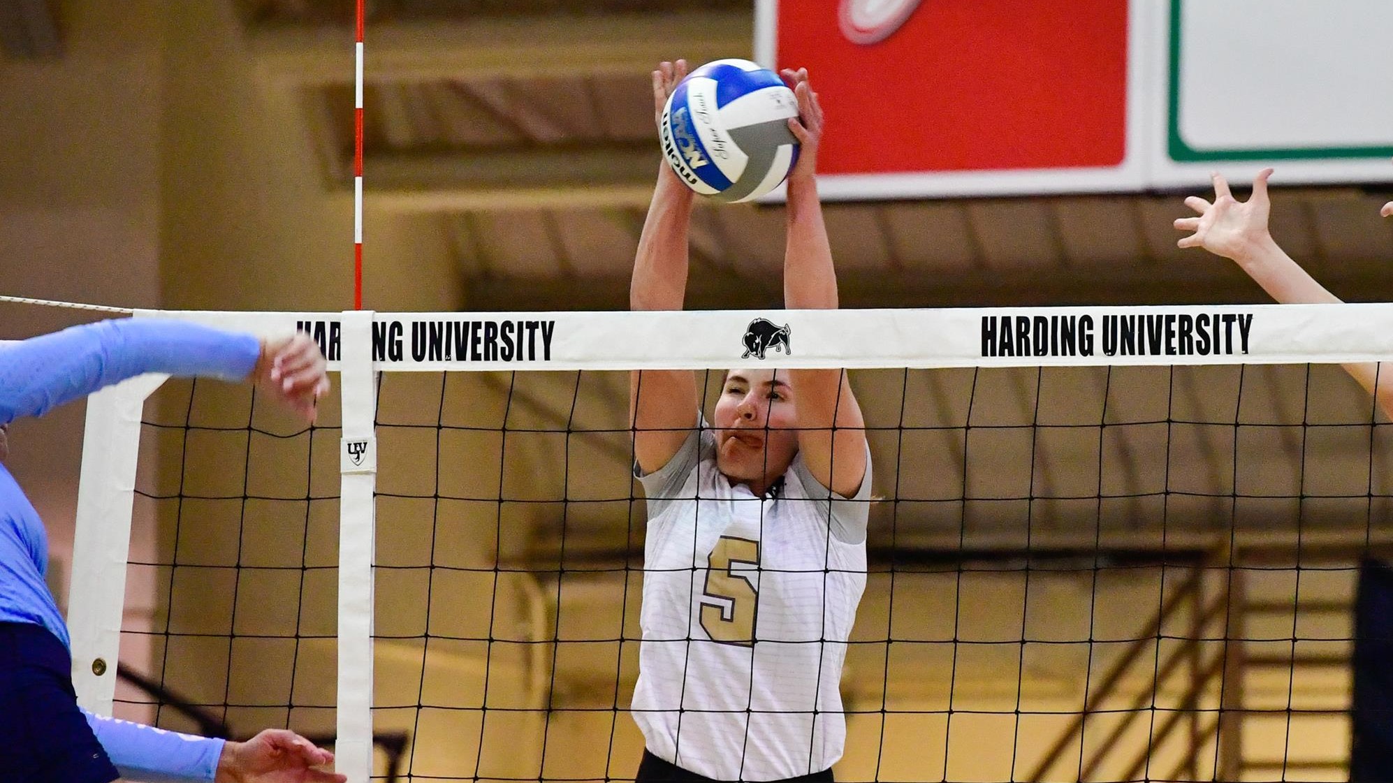 Blocking Leads Volleyball to GAC Tournament Championship Match ...