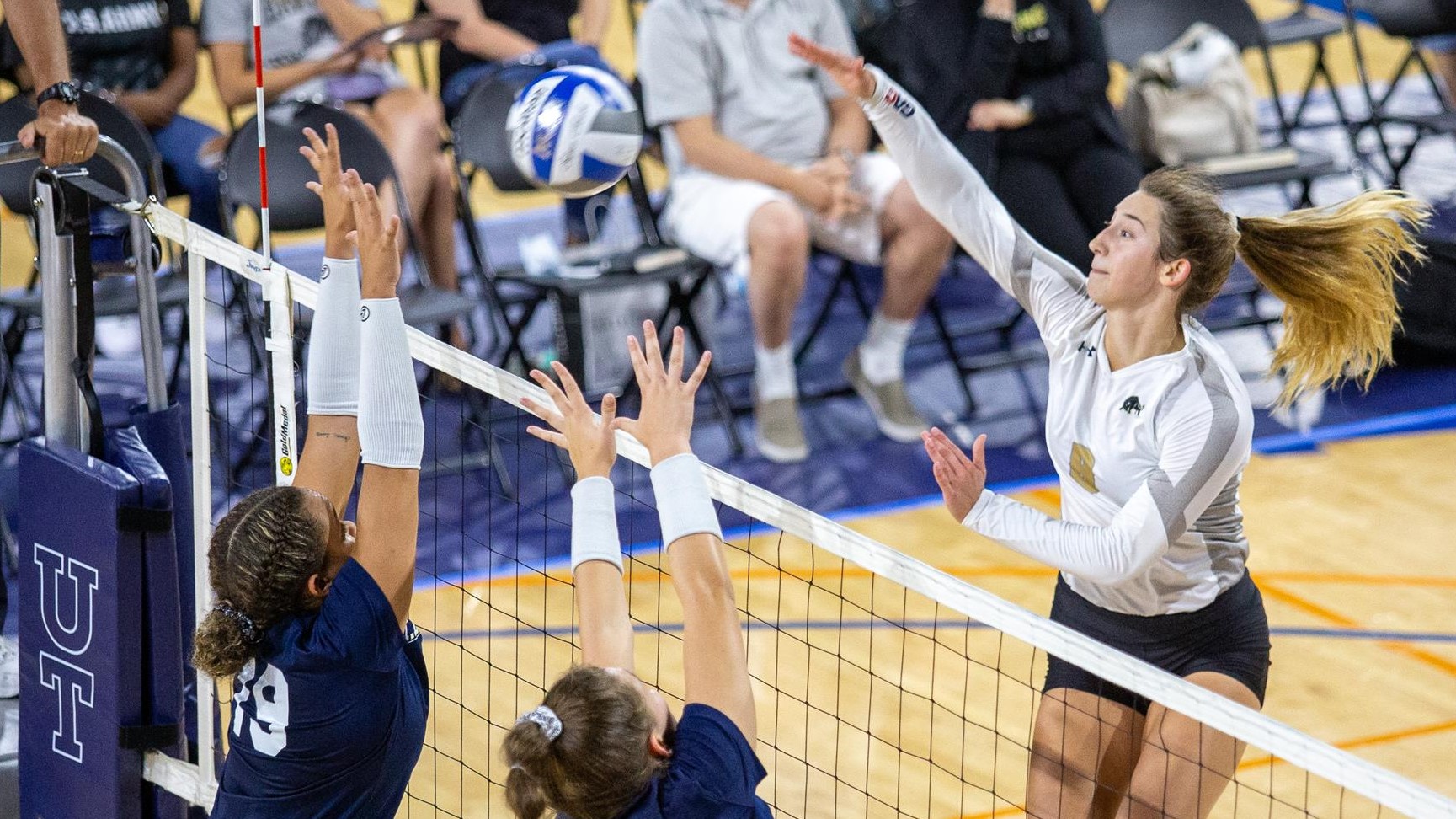 Volleyball Wins Fifth Straight; No. 4 Seed in GAC Tournament - Harding ...