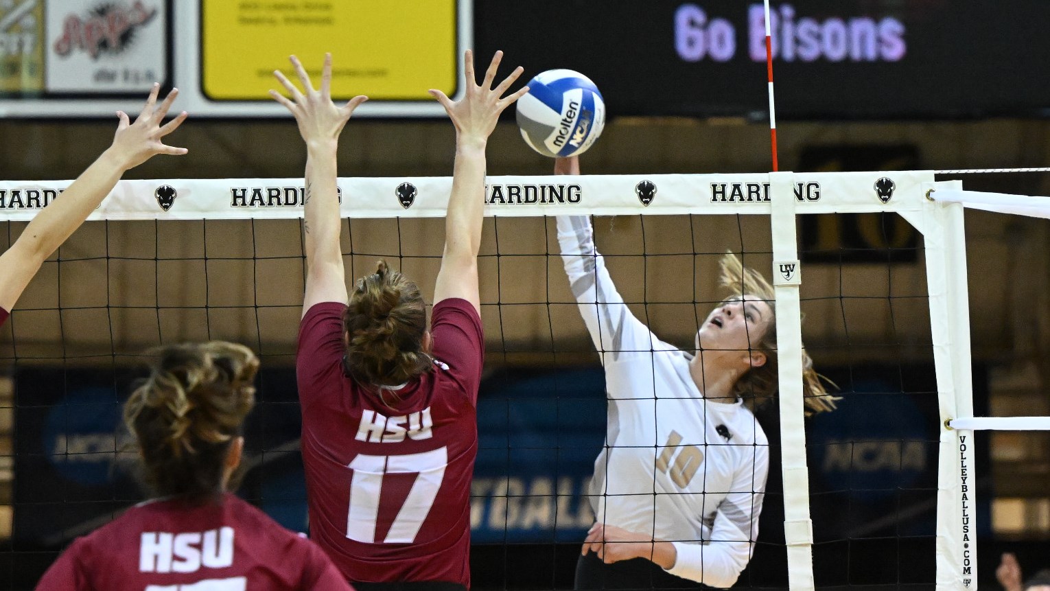 Volleyball Survives Five-Set Thriller - Harding University Athletics