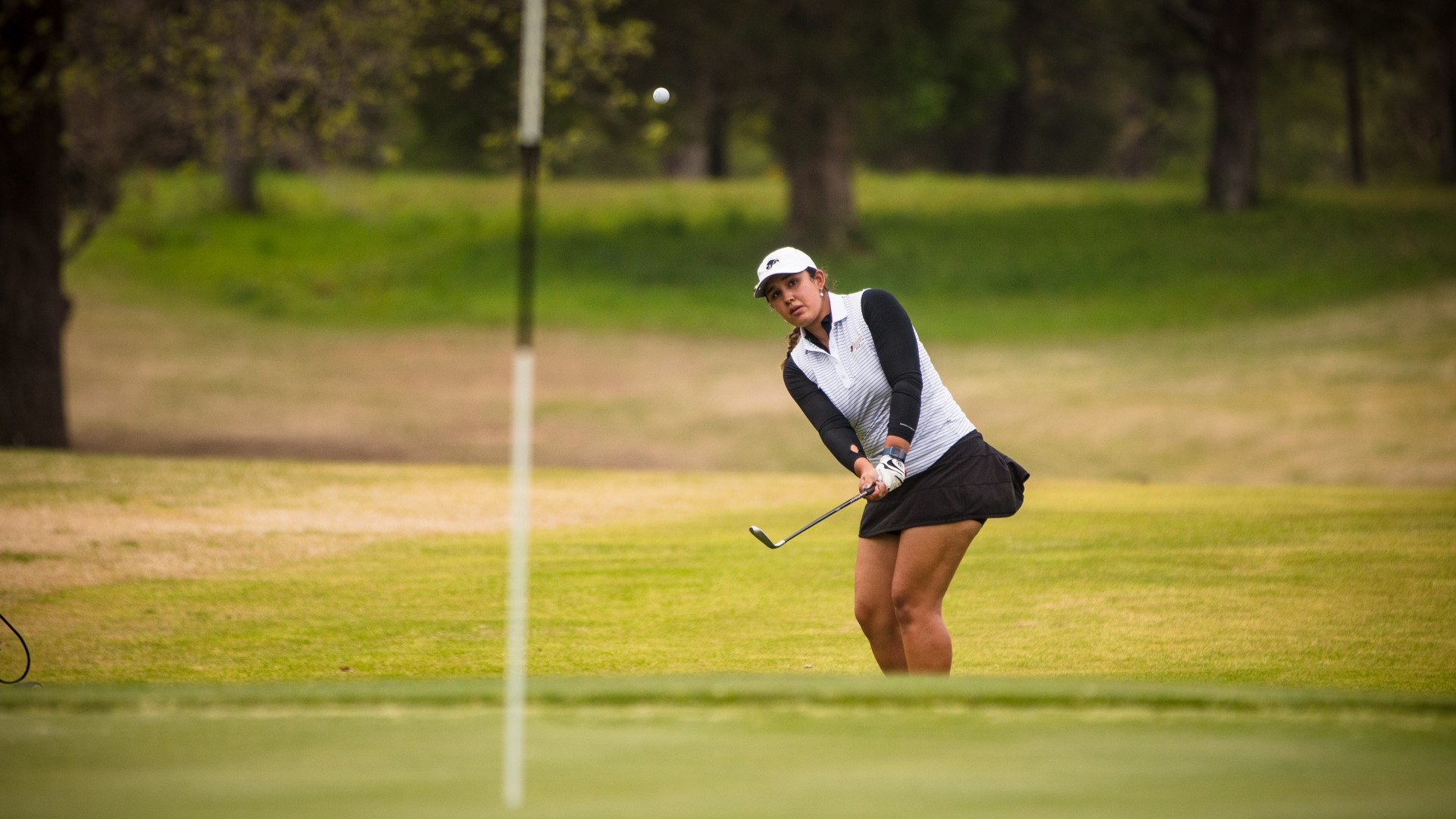 Brenda Sanchez - Women's Golf - Harding University Athletics