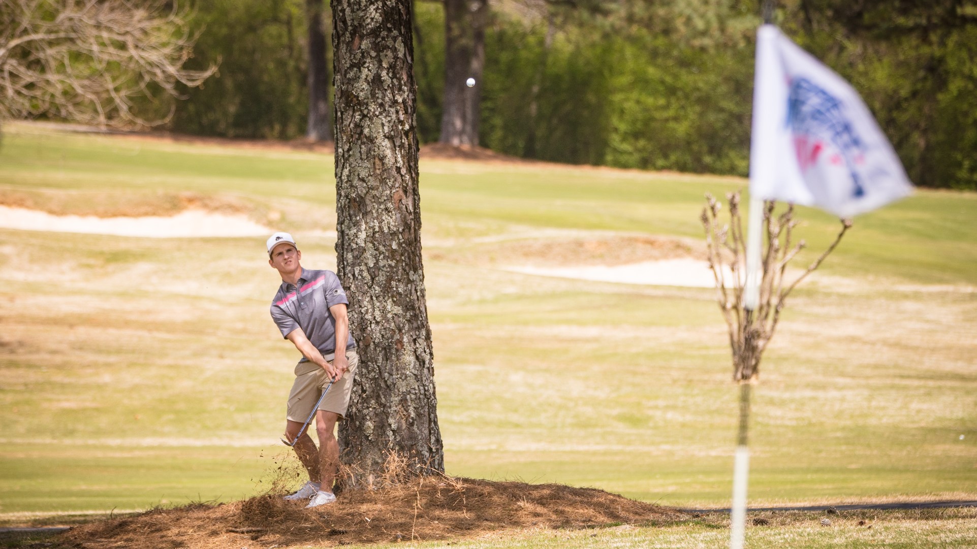 Sam Tandy - Men's Golf - Harding University Athletics