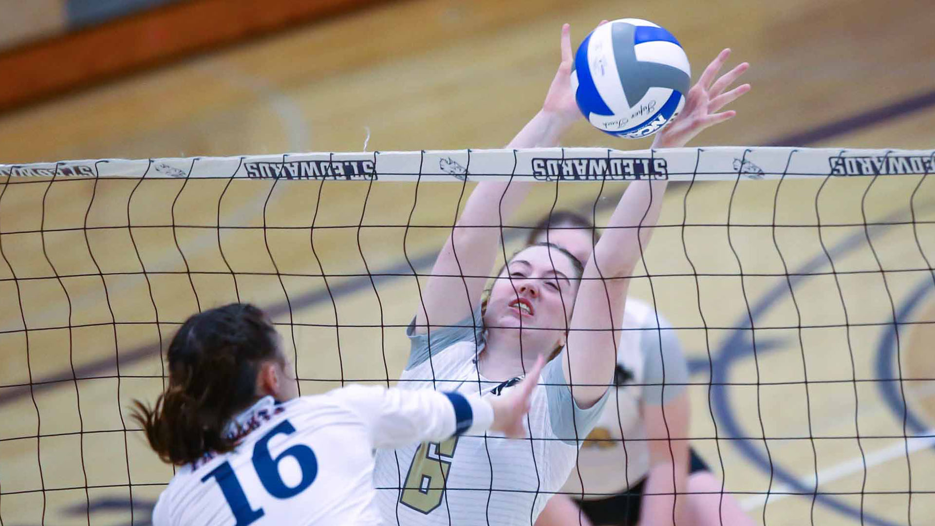 Libby Hinton - Volleyball - Harding University Athletics
