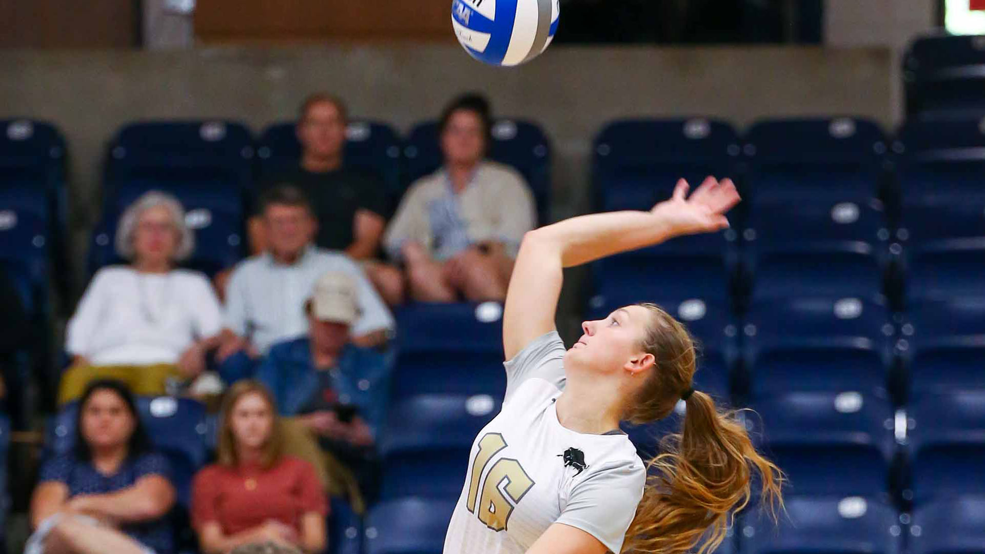 Volleyball Dominates again Friday - Harding University Athletics