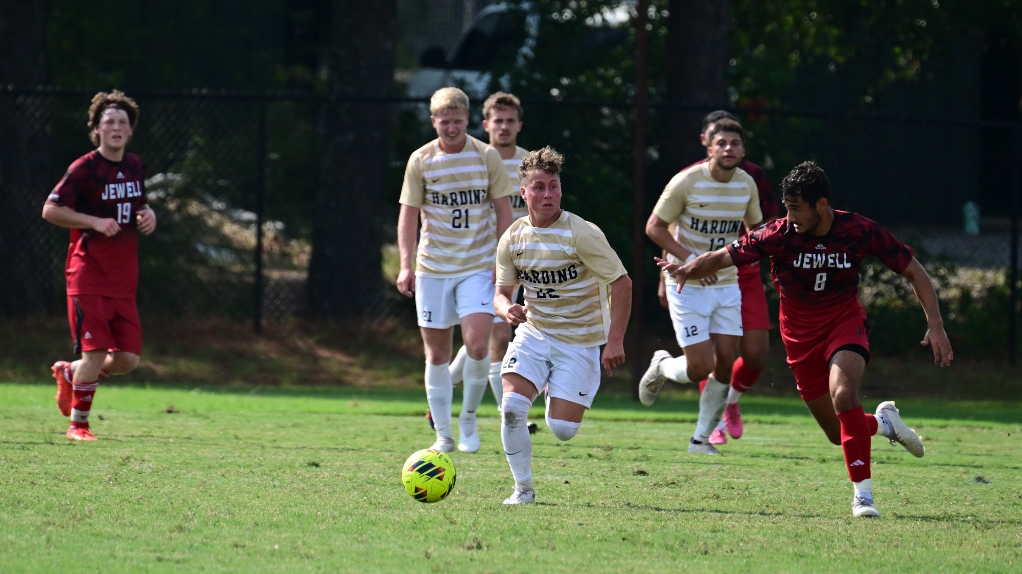 Sanchez's Double Delight Propels Harding to Victory over Rogers State ...