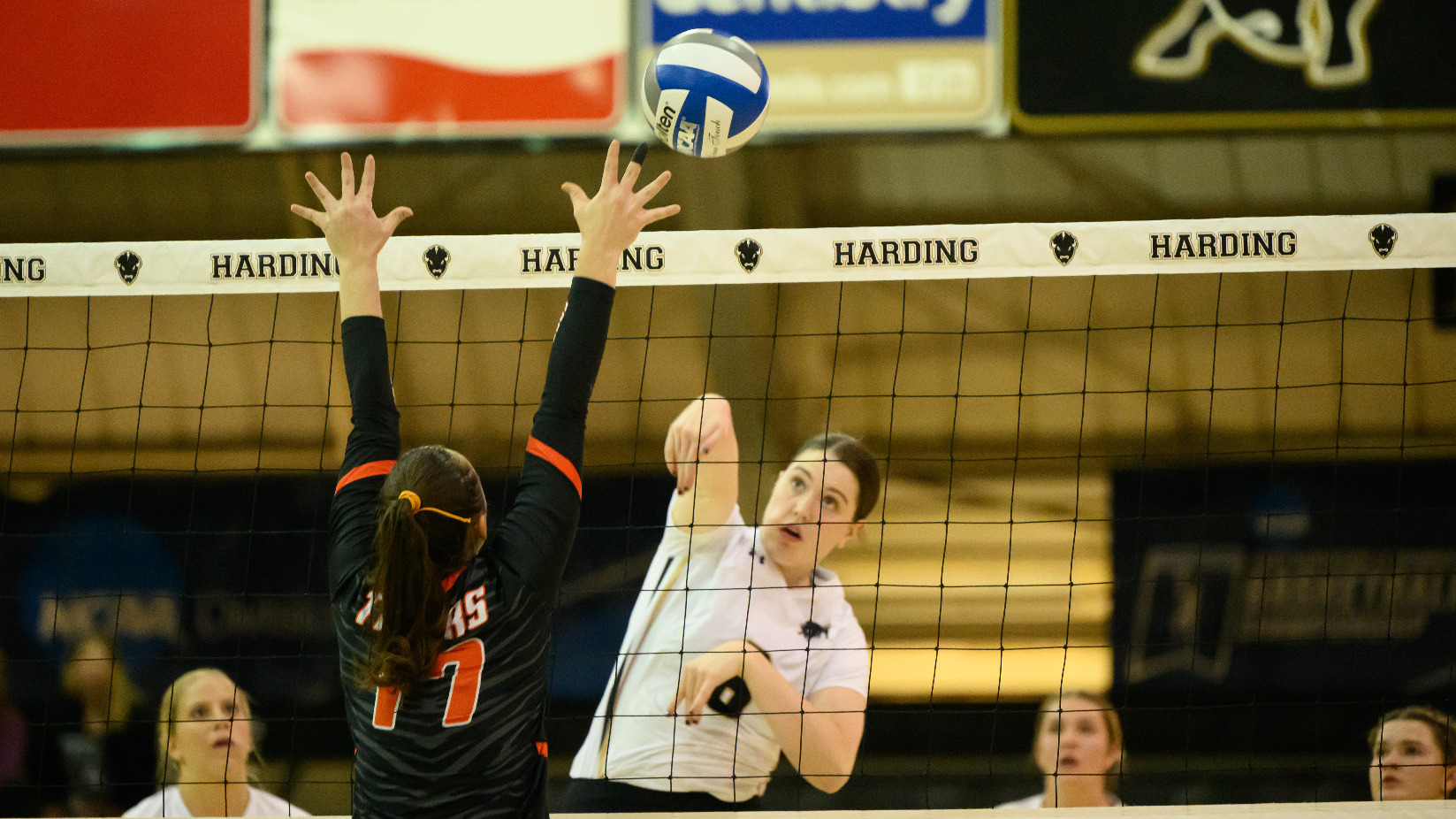 Libby Hinton - Volleyball - Harding University Athletics
