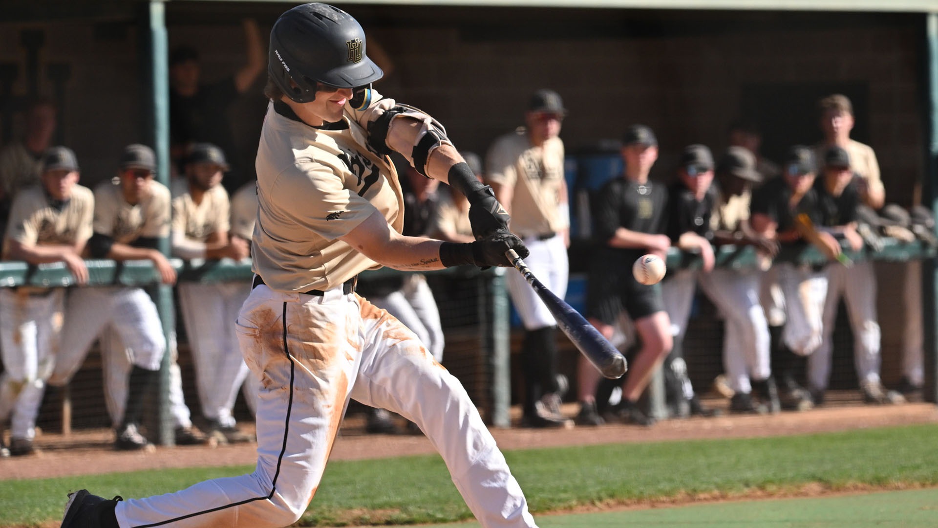 Extra, Extra: Bison Bats Wallop Weevils in Doubleheader Sweep - Harding ...