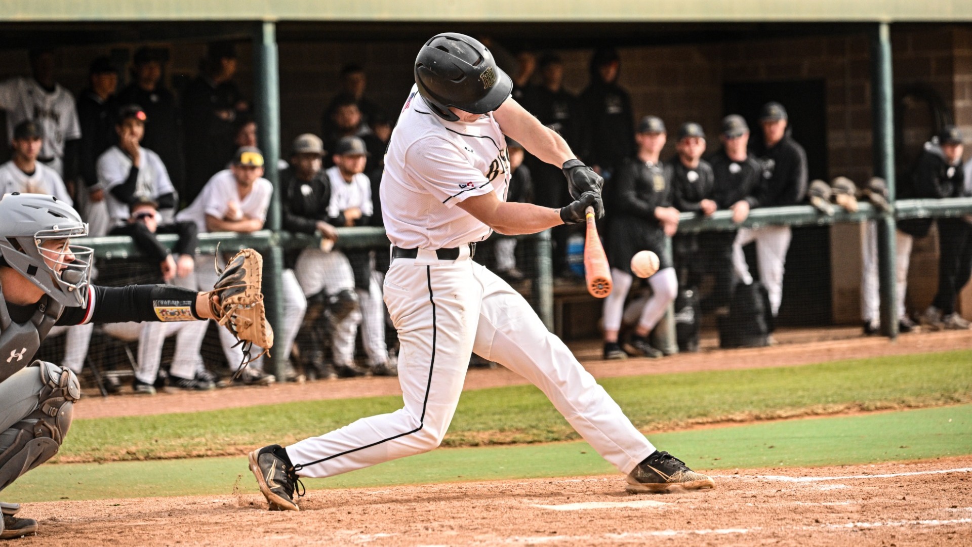 Baseball Bisons Drop Series Finale 6-3 - Harding University Athletics
