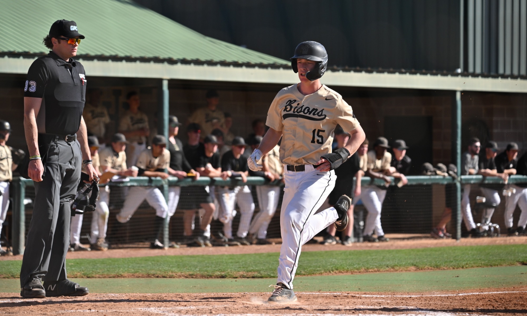 Cooper Newsom - Baseball - Harding University Athletics