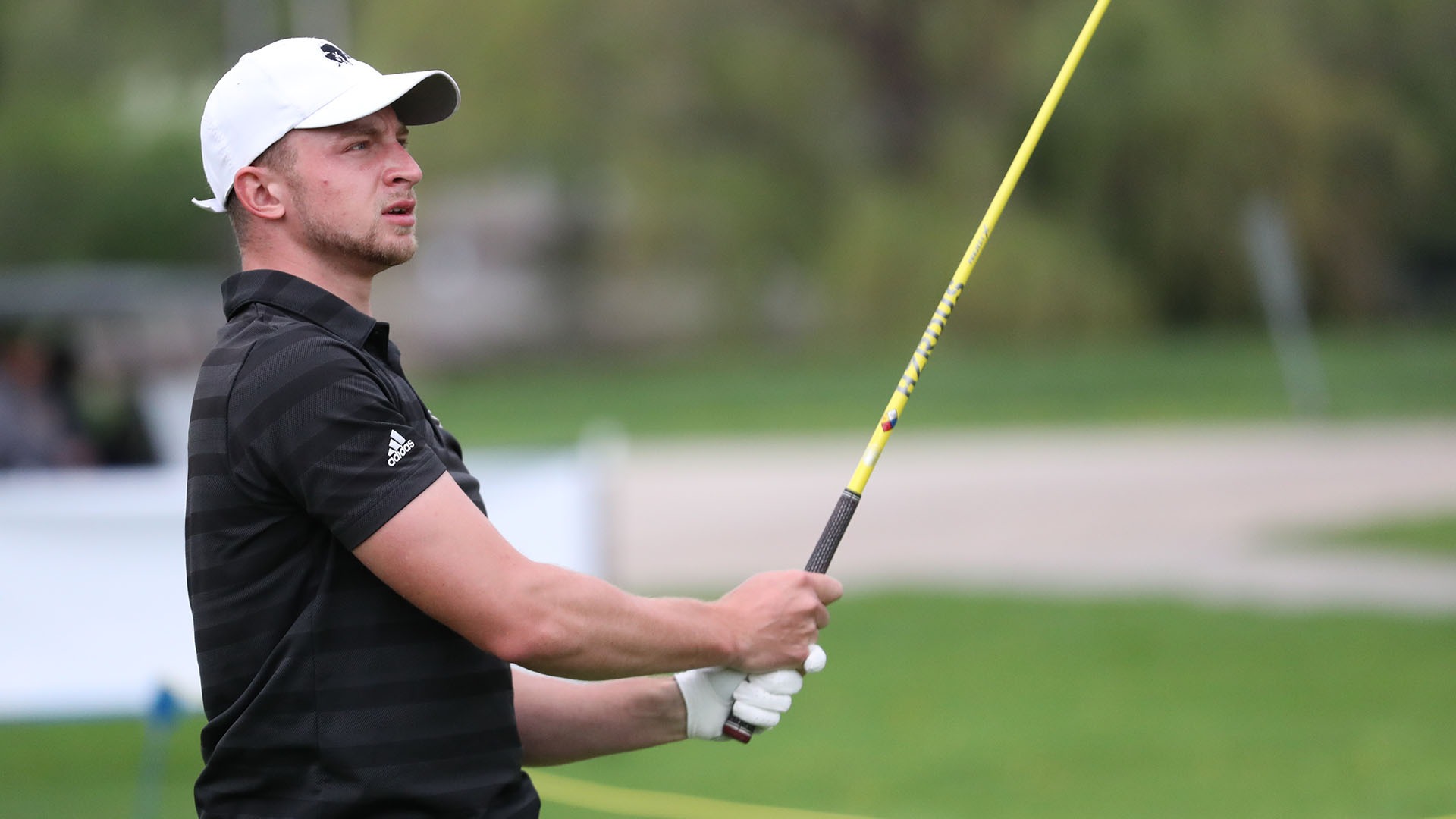 Leo Maciejek - Men's Golf - Harding University Athletics