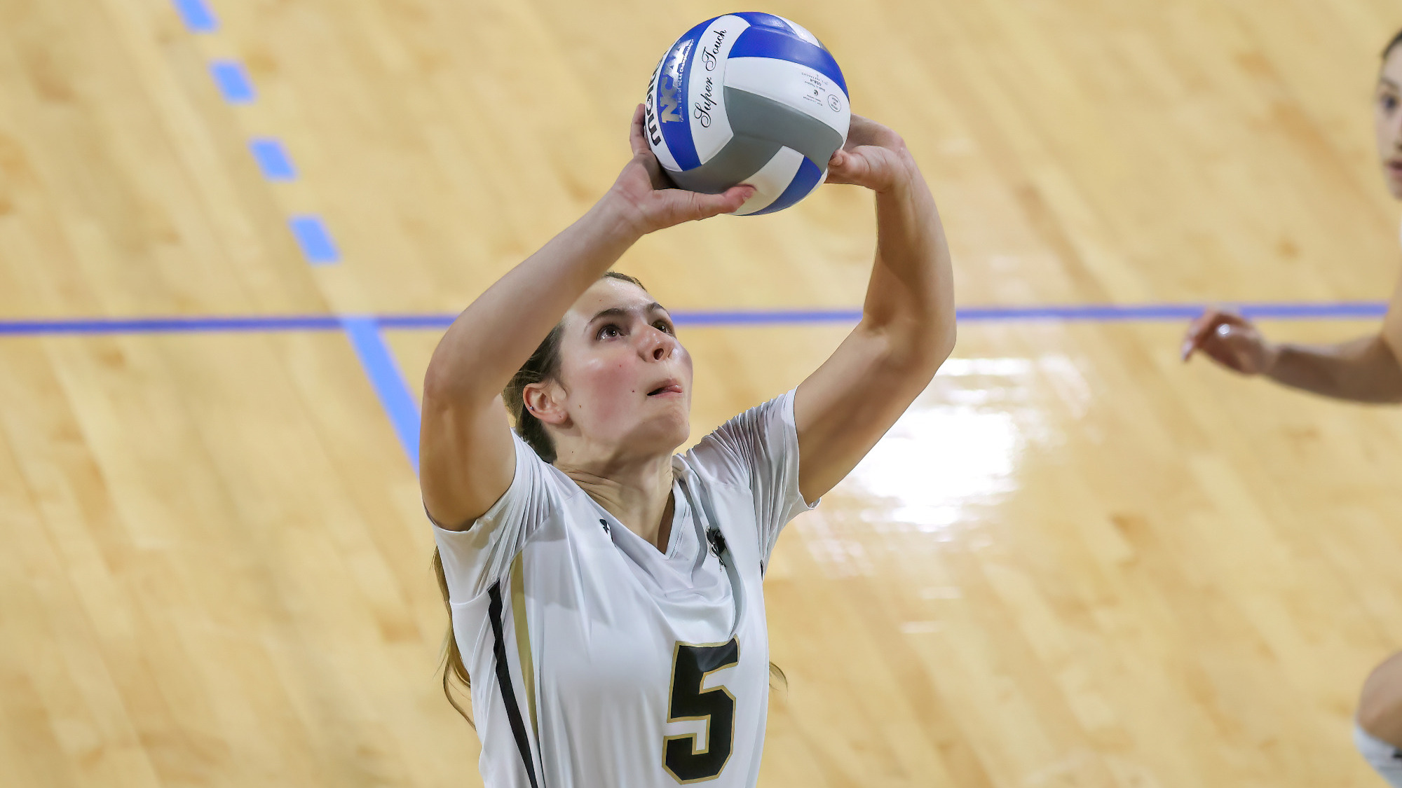 Sarah Morehead - Volleyball - Harding University Athletics