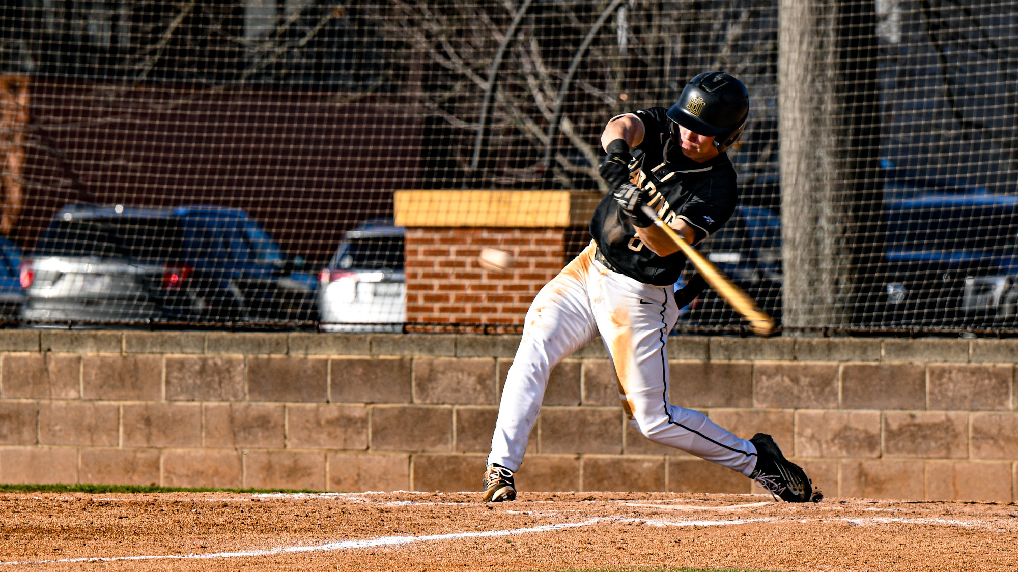 Baseball Bisons Extend Winning Streak with Two Victories Over Southern ...