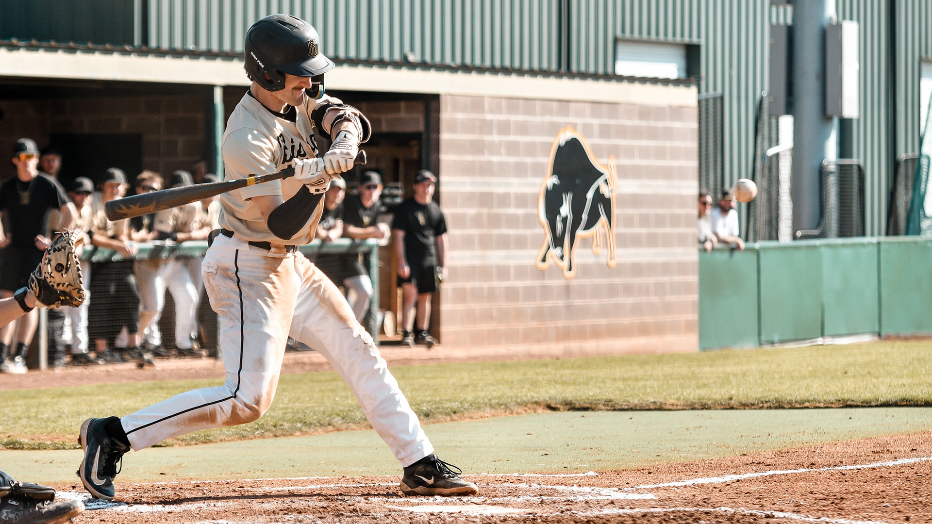 Lacey Lashes Tigers in Midweek Win over Ouachita - Harding University ...