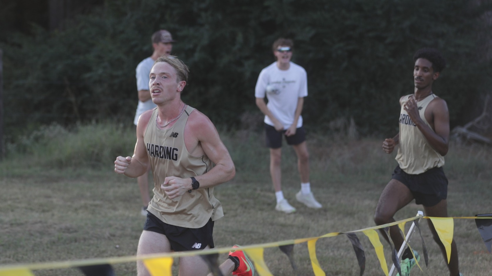 Harding Cross-Country: Bisons' Tight Pack Secures Second Place ...