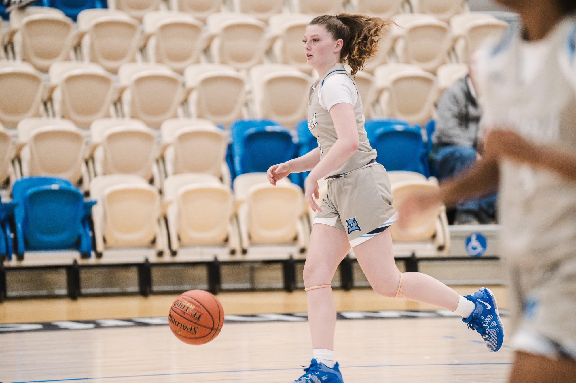 Bears Best Harford - Harford Community College Athletics