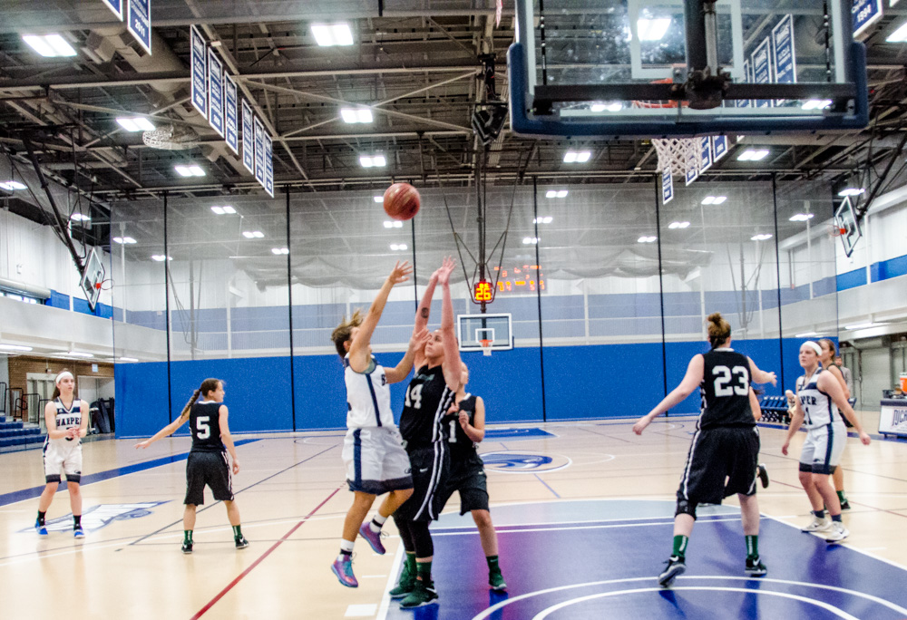 Hawks Bring in New Women's Basketball Coach - Harper College Athletics