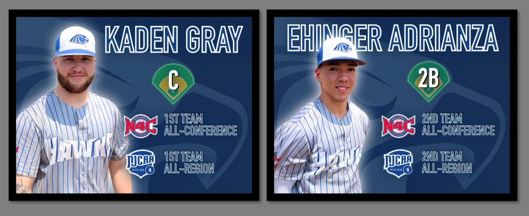 Two Hawks receive region and N4C recognition - Harper College Athletics