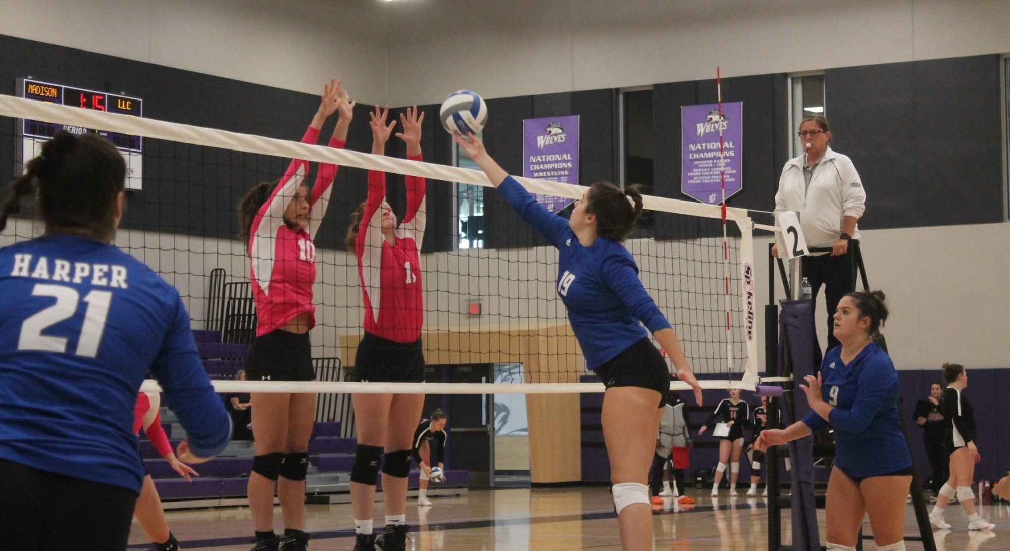 Tess O'Gara - 2022 - Women's Volleyball - Harper College Athletics