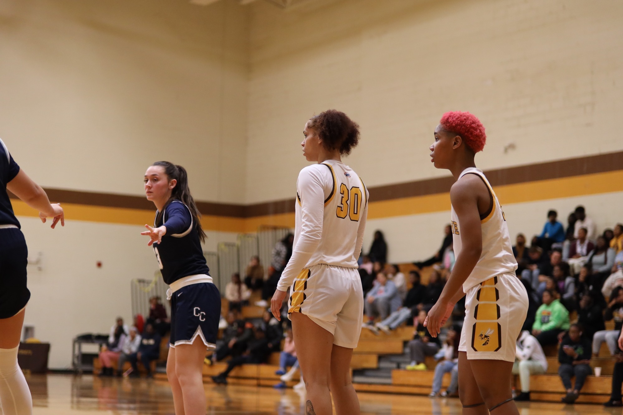 Alicia Robinson - 2023-24 - Women's Basketball - Harris-Stowe State ...