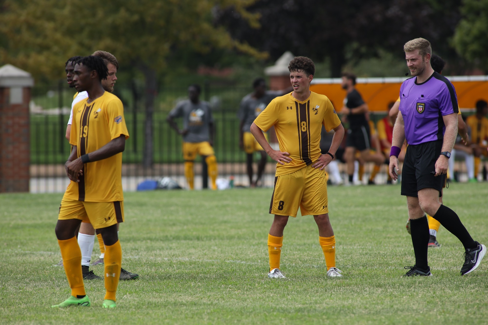 Nenad Todorovic Named as Head Men’s Soccer Coach - Harris-Stowe State ...