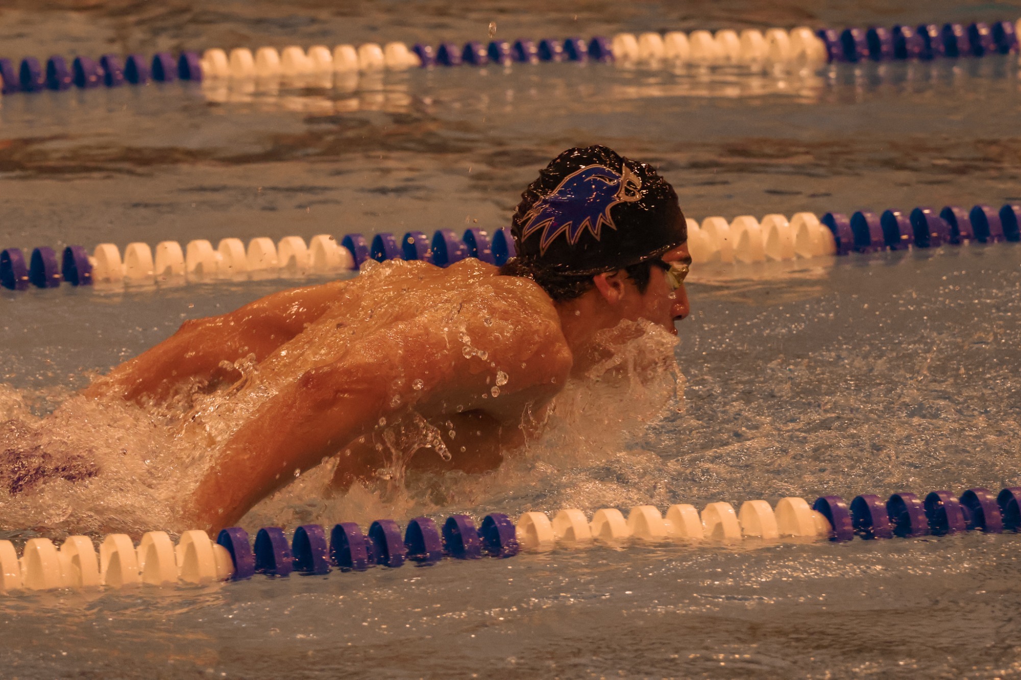 Men's Swim and Dive Holds Strong in Second Place on Third Day of Empire ...