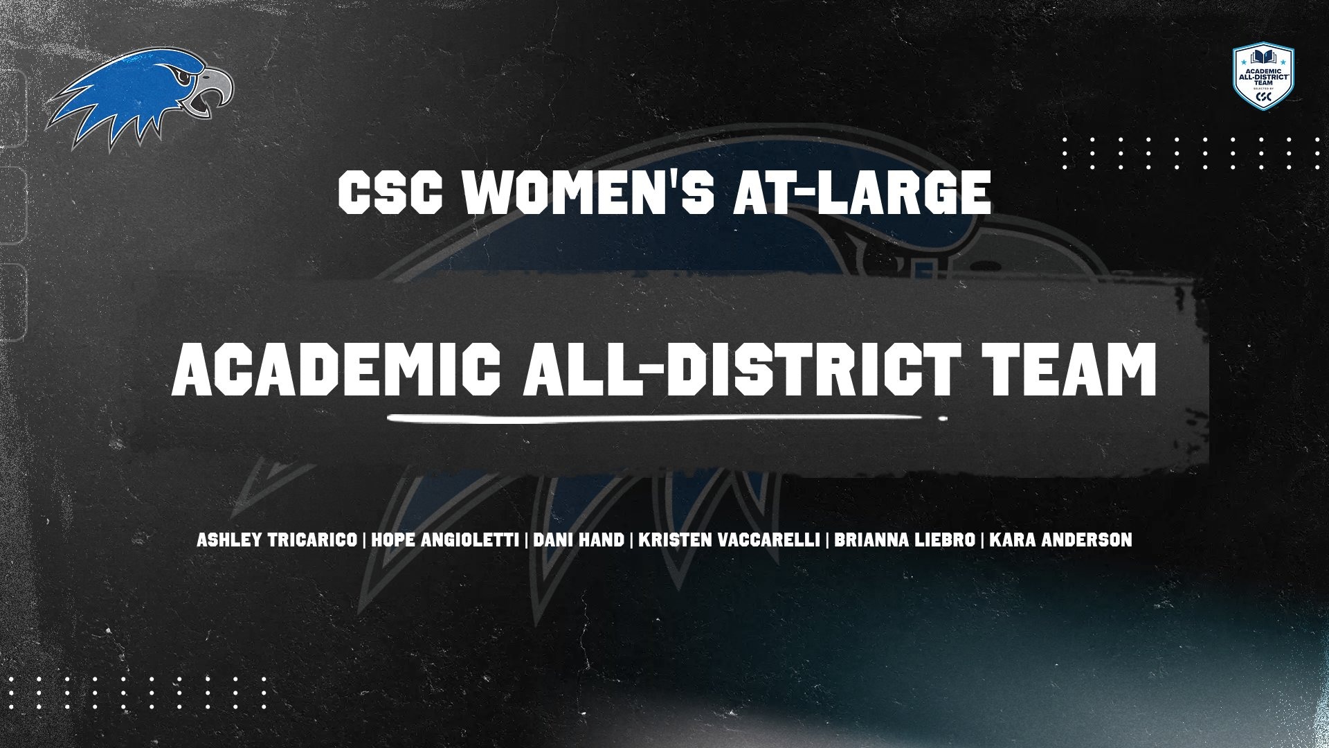 Fourteen Hawks Earn Spot on NFHCA National Academic Squad - Hartwick ...