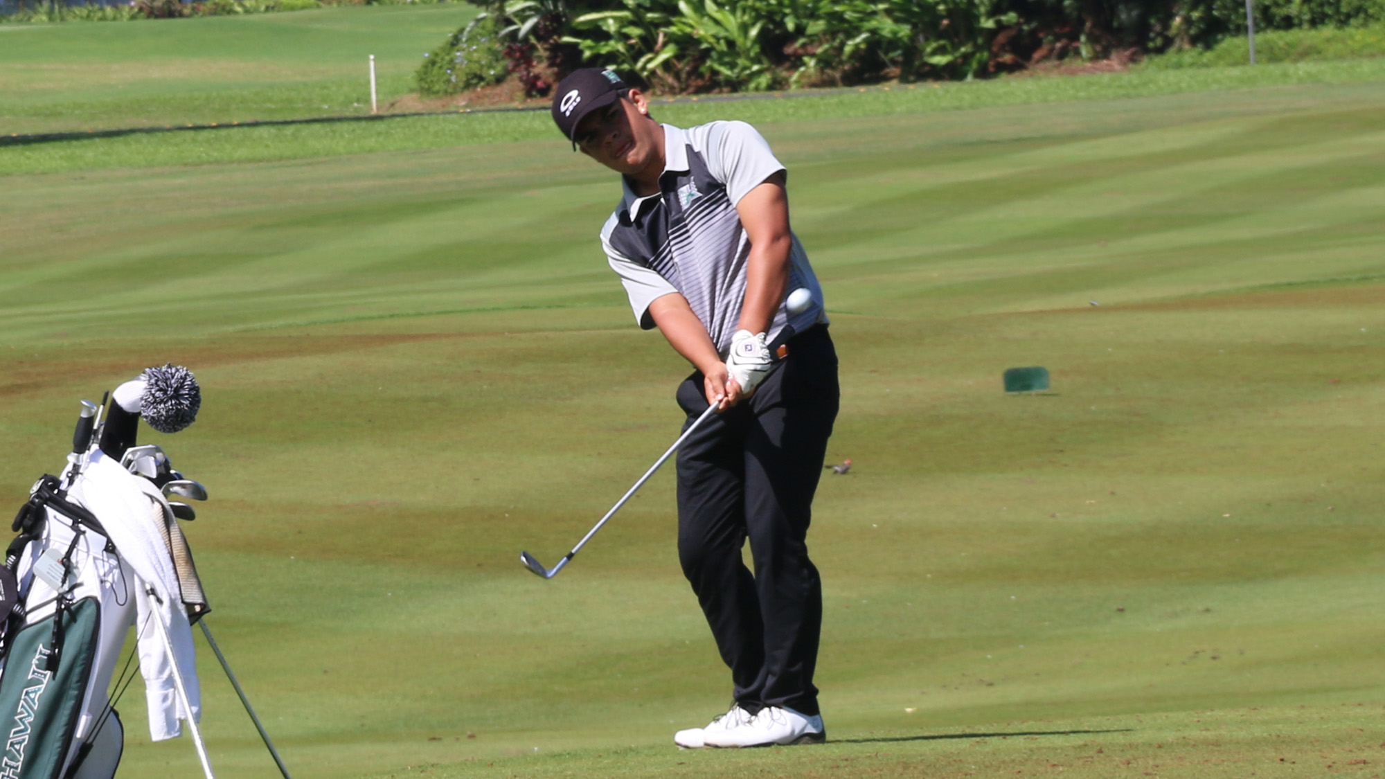Desmond Mello - Men's Golf - University of Hawai'i at Manoa Athletics