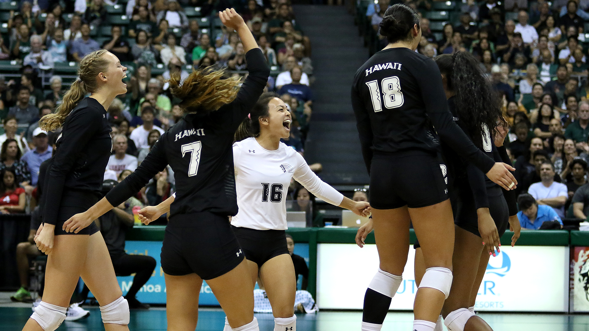 Bailey Choy - Women's Volleyball - University of Hawai'i at Manoa Athletics