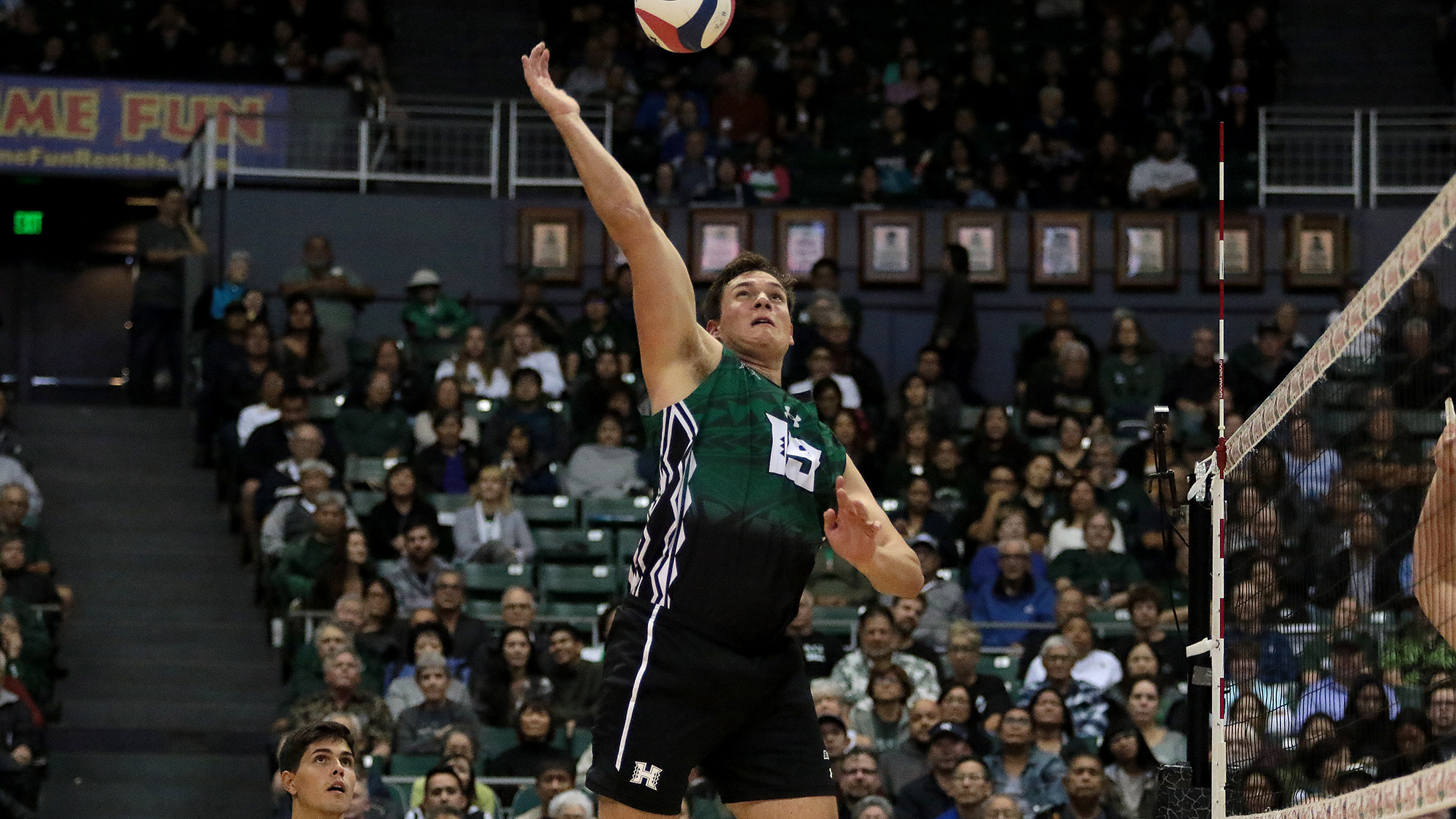 Patrick Gasman - Men's Volleyball - University of Hawai'i at Manoa ...